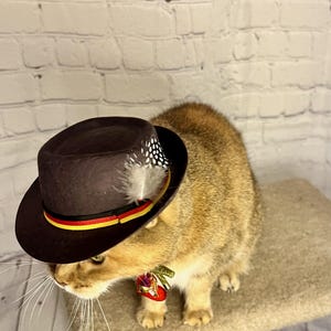 German Alpine Bavarian Oktoberfest Costume Hat With Feather for Your ...