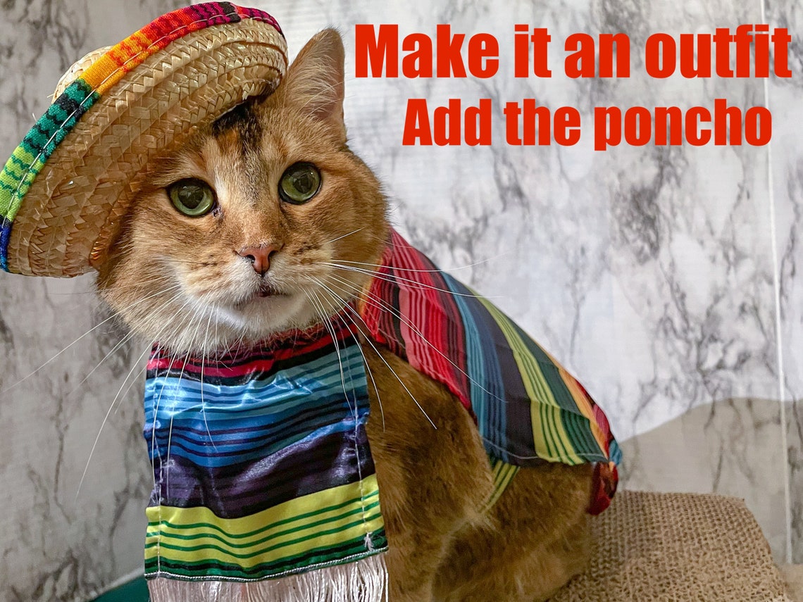 Cat Sombrero Mexican Cat Hat Dog Hat FREE SHIPPING | Etsy