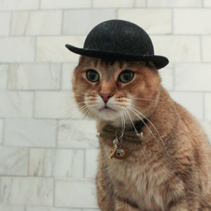 LARGE Black Bowler Cat Hat-- Tough Guy Cat Hat FREE SHIPPING - Etsy