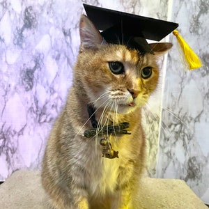 Graduation Cap Cat Hat for Your Cat FREE SHIPPING! Add-on Custom Tassel ...