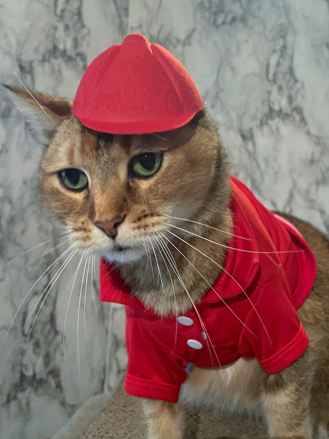 Mid Size Red Baseball Cat Hat Baseball Cap Backwards Hat | Etsy