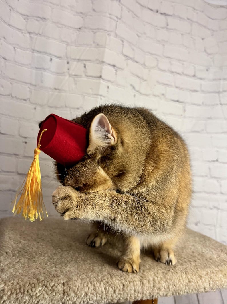Fez for Your Cat, Mini Fez Hat for Dog or Pet - Inspired Doctor Who ...