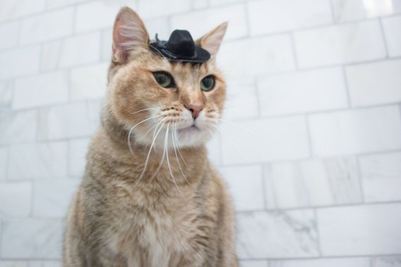 MINI Black Cowboy Cat Hat FREE SHIPPING | Etsy