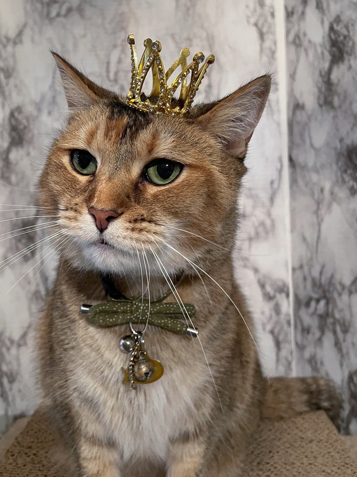 Mini Gold Metal Cat Crown Cat King or Queen Crown for Cat | Etsy