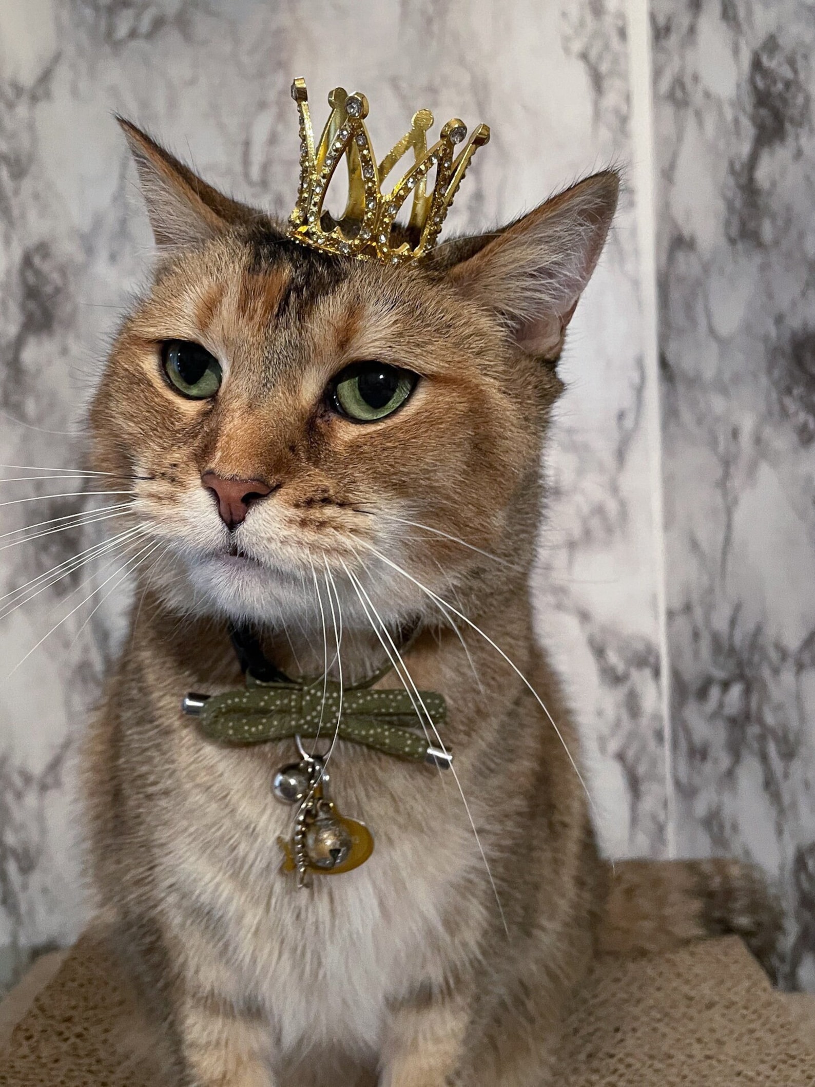 Mini Gold Metal Cat Crown Cat King or Queen Crown for Cat | Etsy