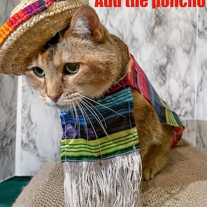 Cat Sombrero Mexican Cat Hat Dog Hat FREE SHIPPING - Etsy