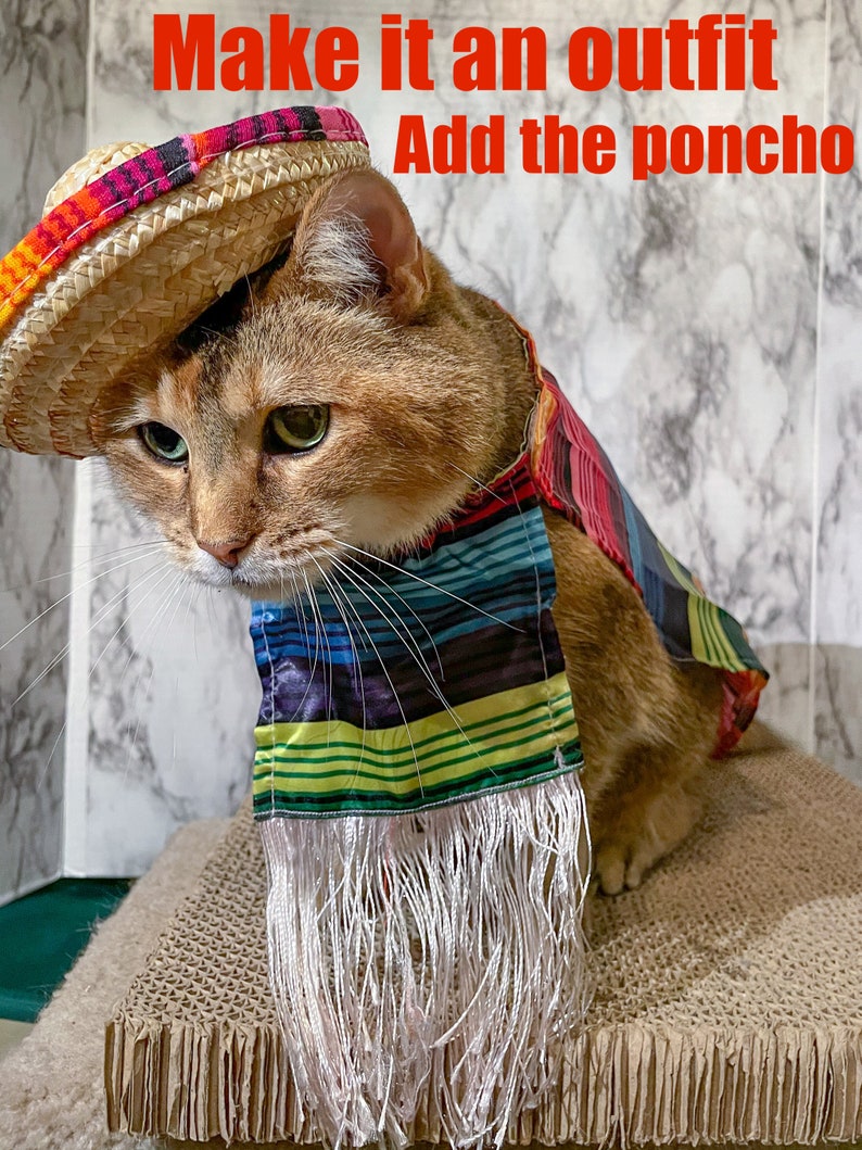 Cat Sombrero Mexican Cat Hat Dog Hat FREE SHIPPING - Etsy