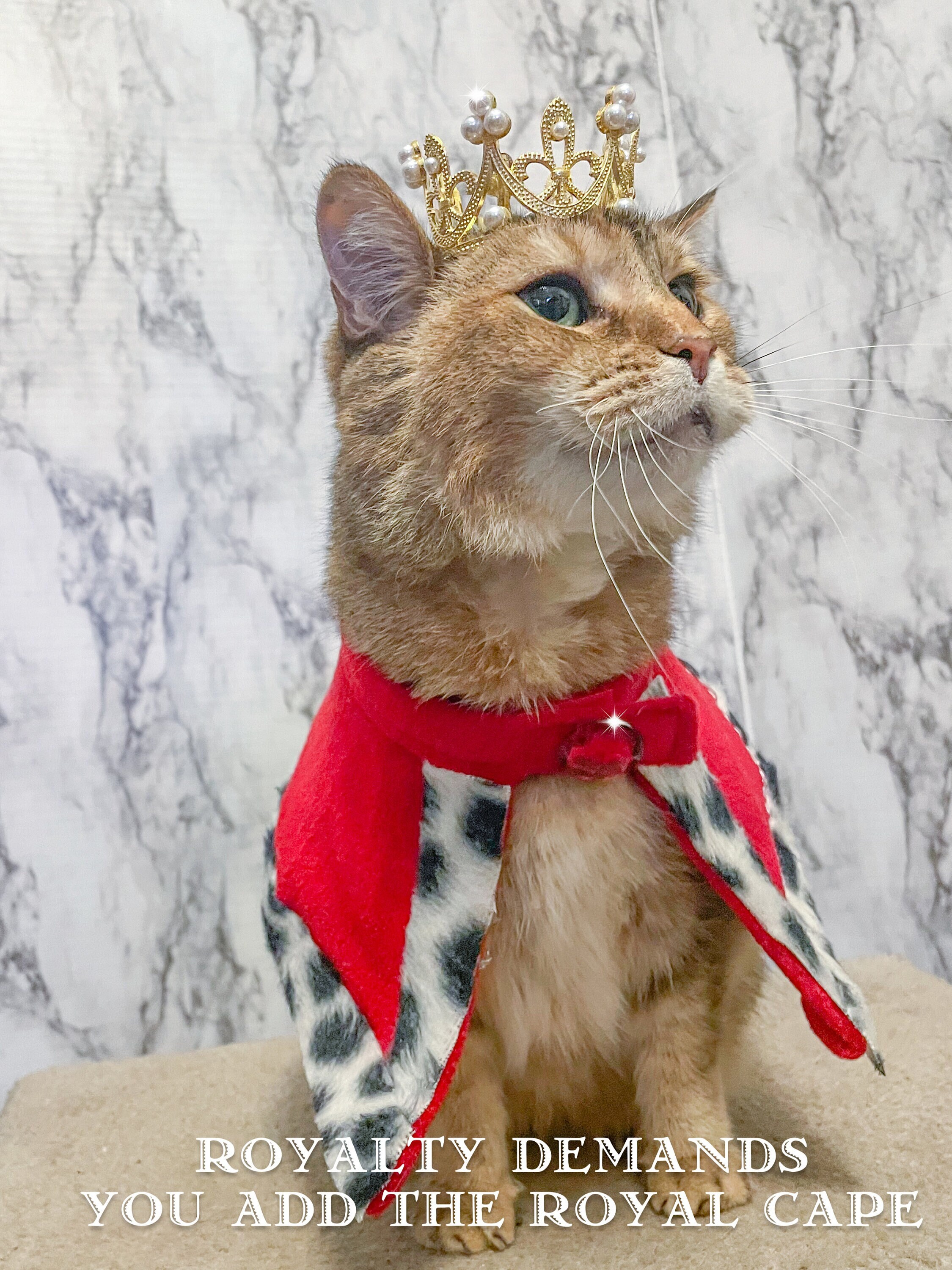 Pearled Cat Crown Cat King or Queen Crown for Cat Crown - Etsy