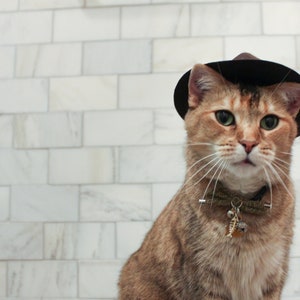 Large Trooper Cat Hat for Your Cat, Ranger Cat Hat for Your Cat - Etsy