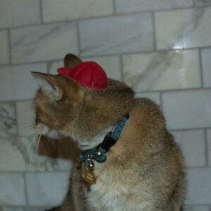Red Baseball Cap for Your Cat - Cat Hat - Etsy