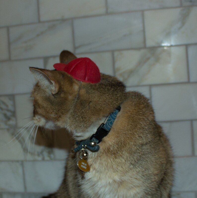 Red Baseball Cap for Your Cat - Cat Hat - Etsy