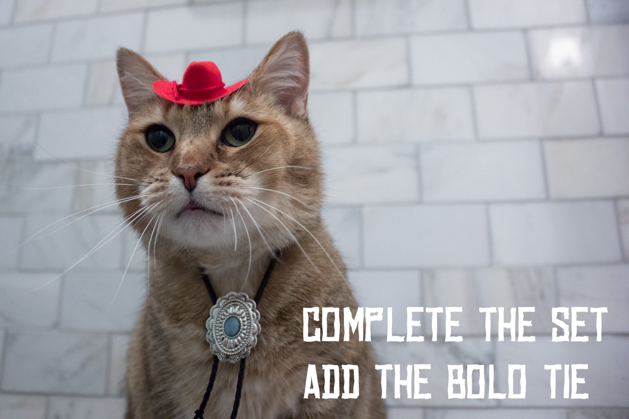 Mini-red Cowboy Cat Hat for Your Cat | Etsy