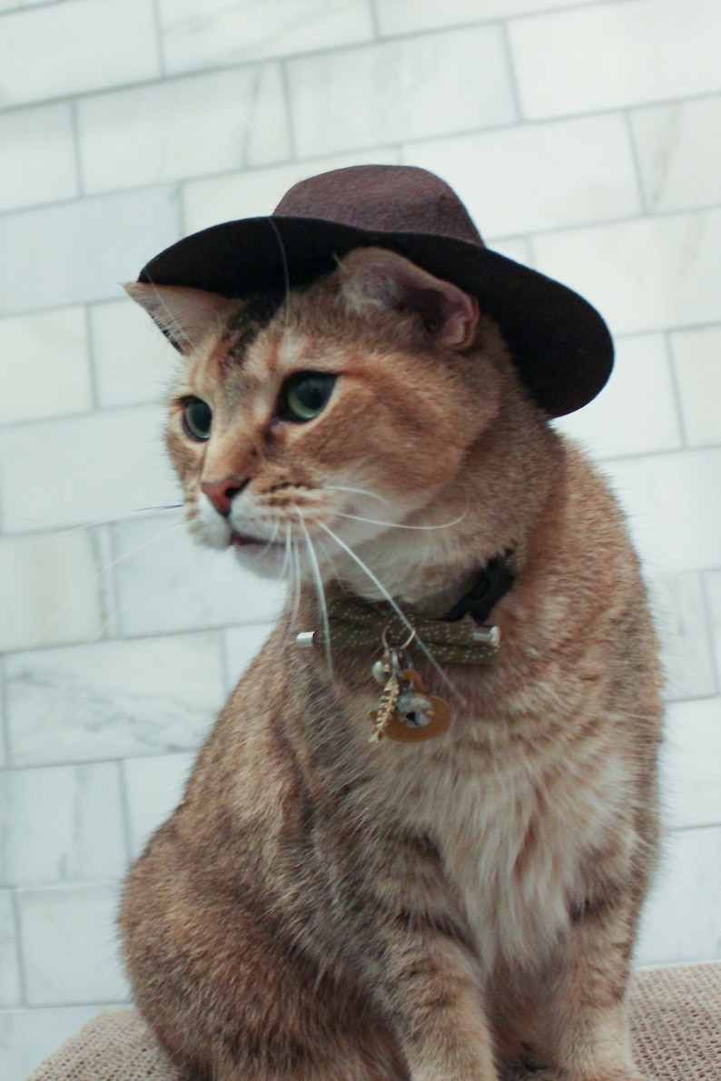 Large Trooper Cat Hat for Your Cat Ranger Cat Hat for Your - Etsy