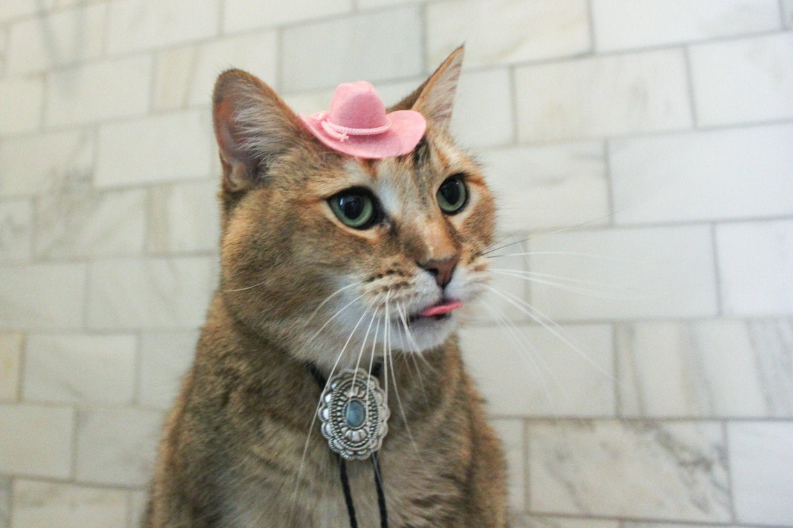 MINI Pink Cowboy Cat Hat FREE SHIPPING - Etsy