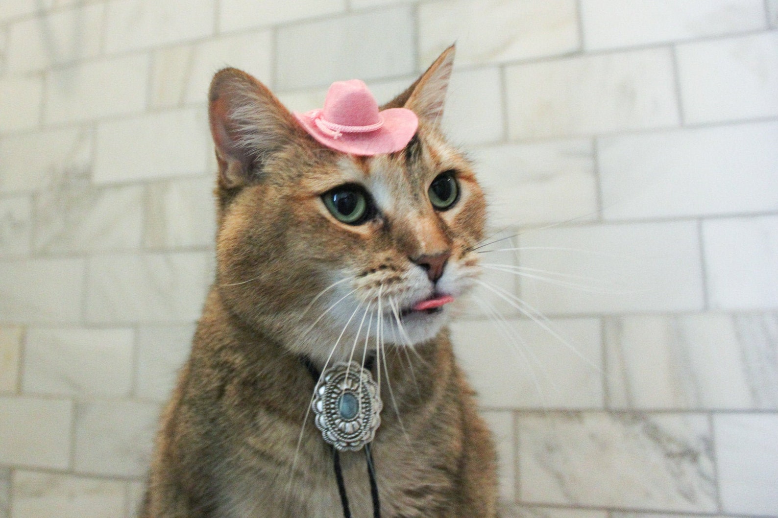 MINI Pink Cowboy Cat Hat FREE SHIPPING - Etsy