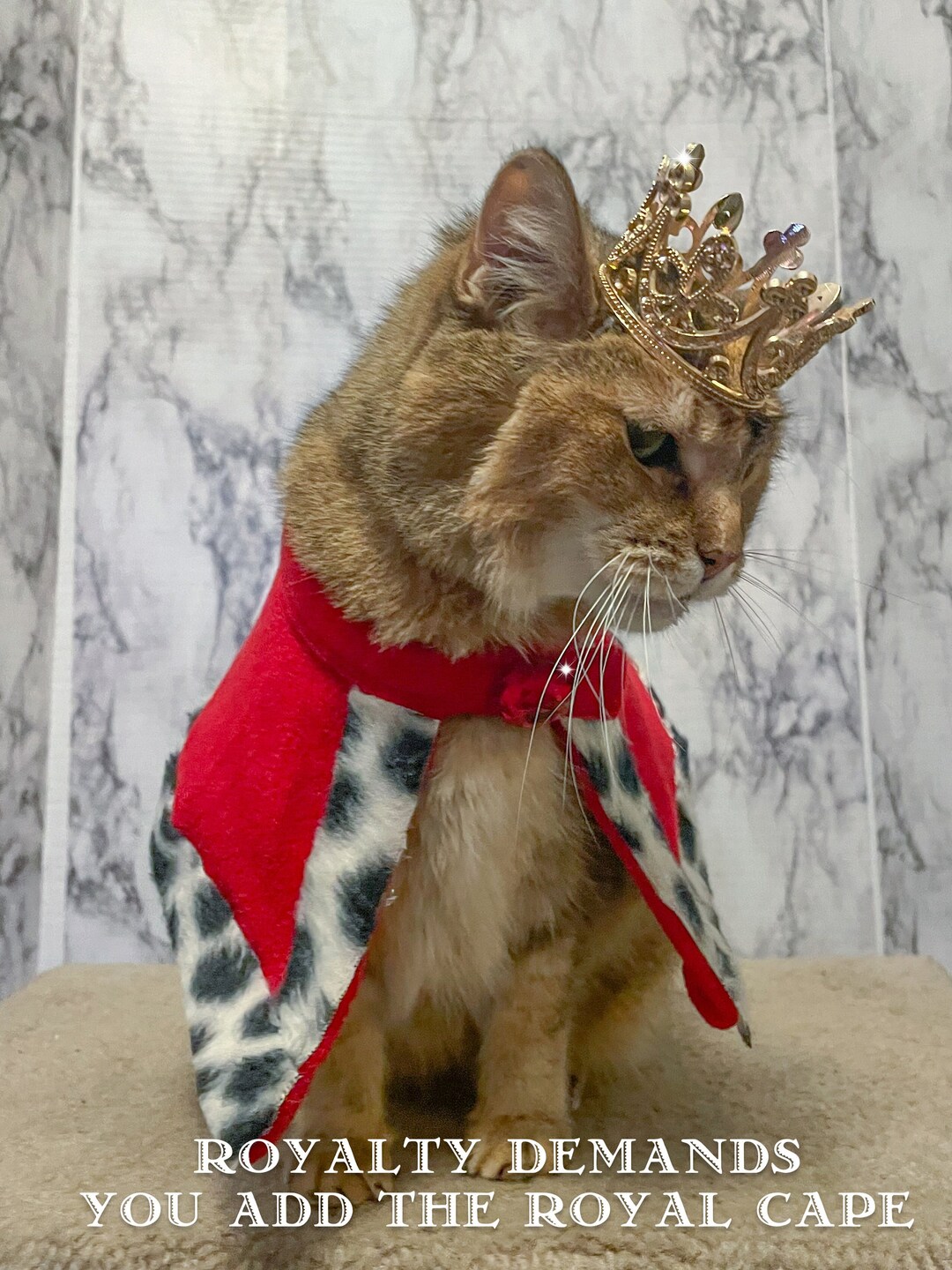 Metal Cat Crown - Cat King or Queen - Crown for Cat - Crown for Dog ...