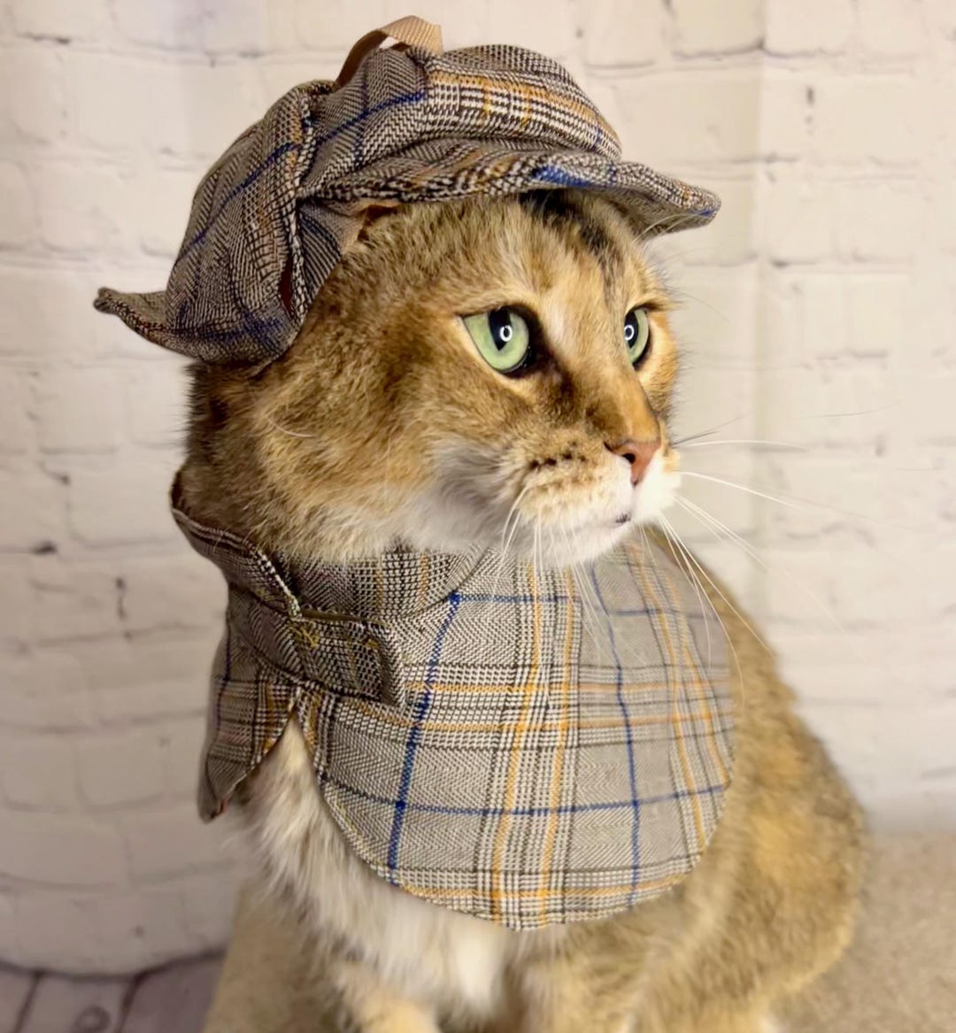 Sherlock Costume for Cat - Sherlock Hat and Cat for Small Pet - Etsy