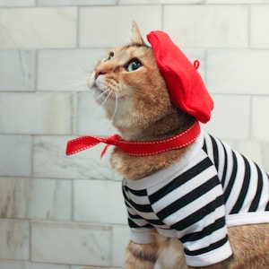 Complete French Cat Outfit- Cat Beret, Ascot and Striped Shirt Pet ...