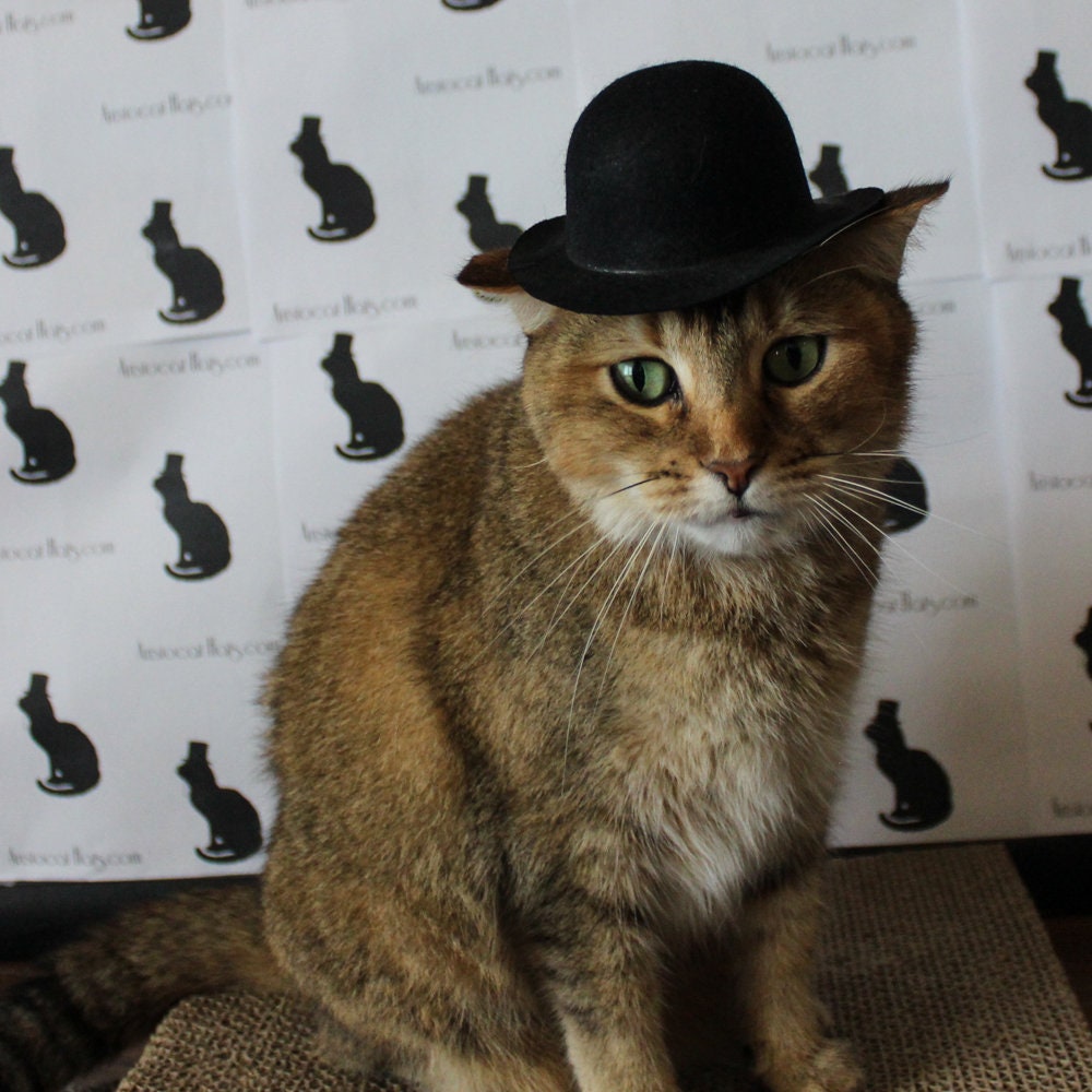 Bowler Cat Hat for Your Cat Medium - Etsy