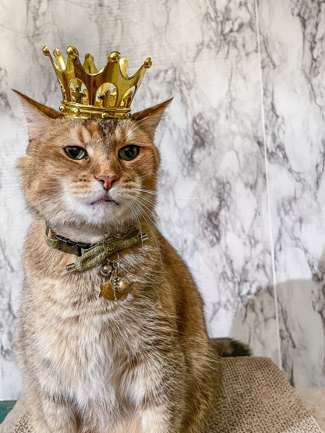 Light Cat Crown Cat King or Queen Crown for Cat Crown for - Etsy Canada