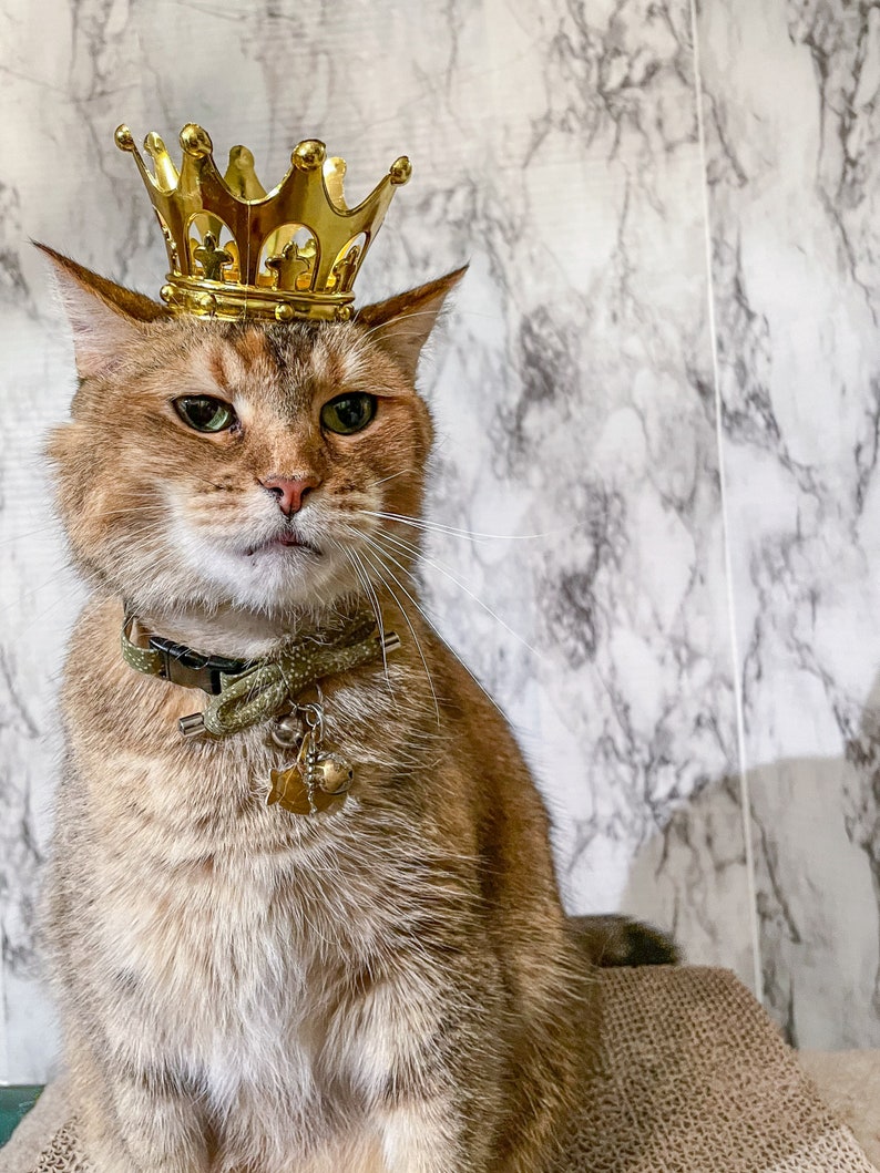 Light Cat Crown Cat King or Queen Crown for Cat Crown for - Etsy