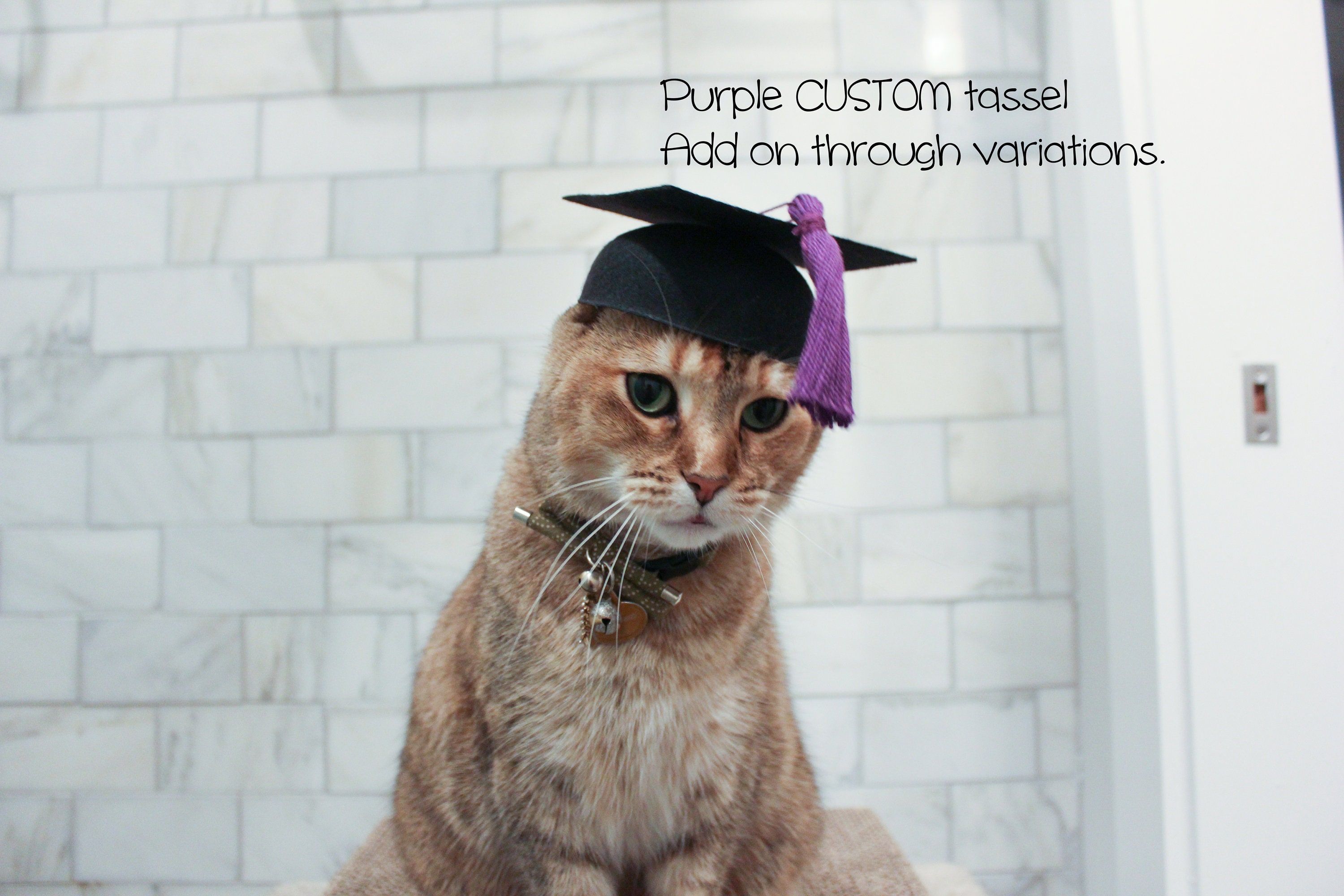 Graduation Cap Cat Hat for Your Cat FREE SHIPPING Add-on | Etsy
