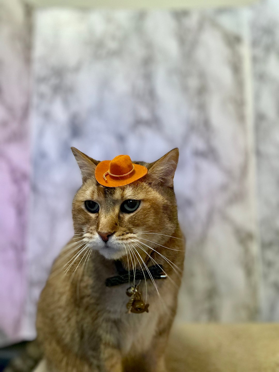 MINI Orange Cowboy Cat Hat FREE SHIPPING - Etsy