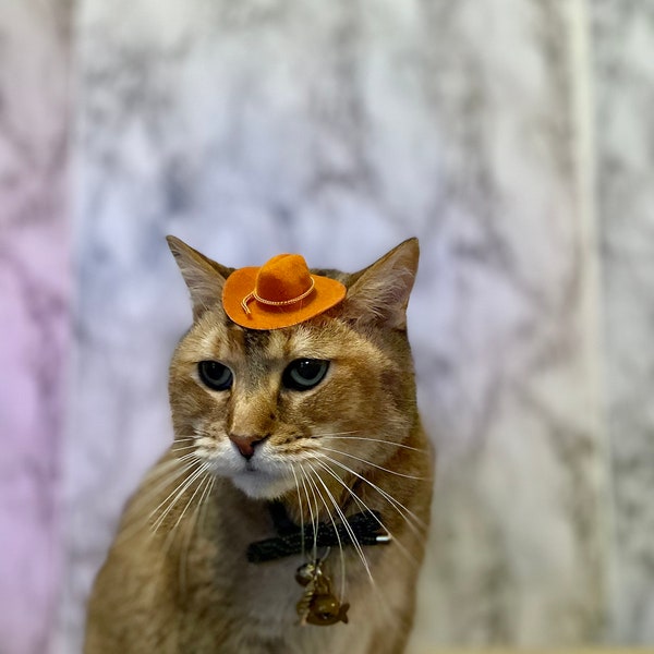Orange Cat Costume - Etsy