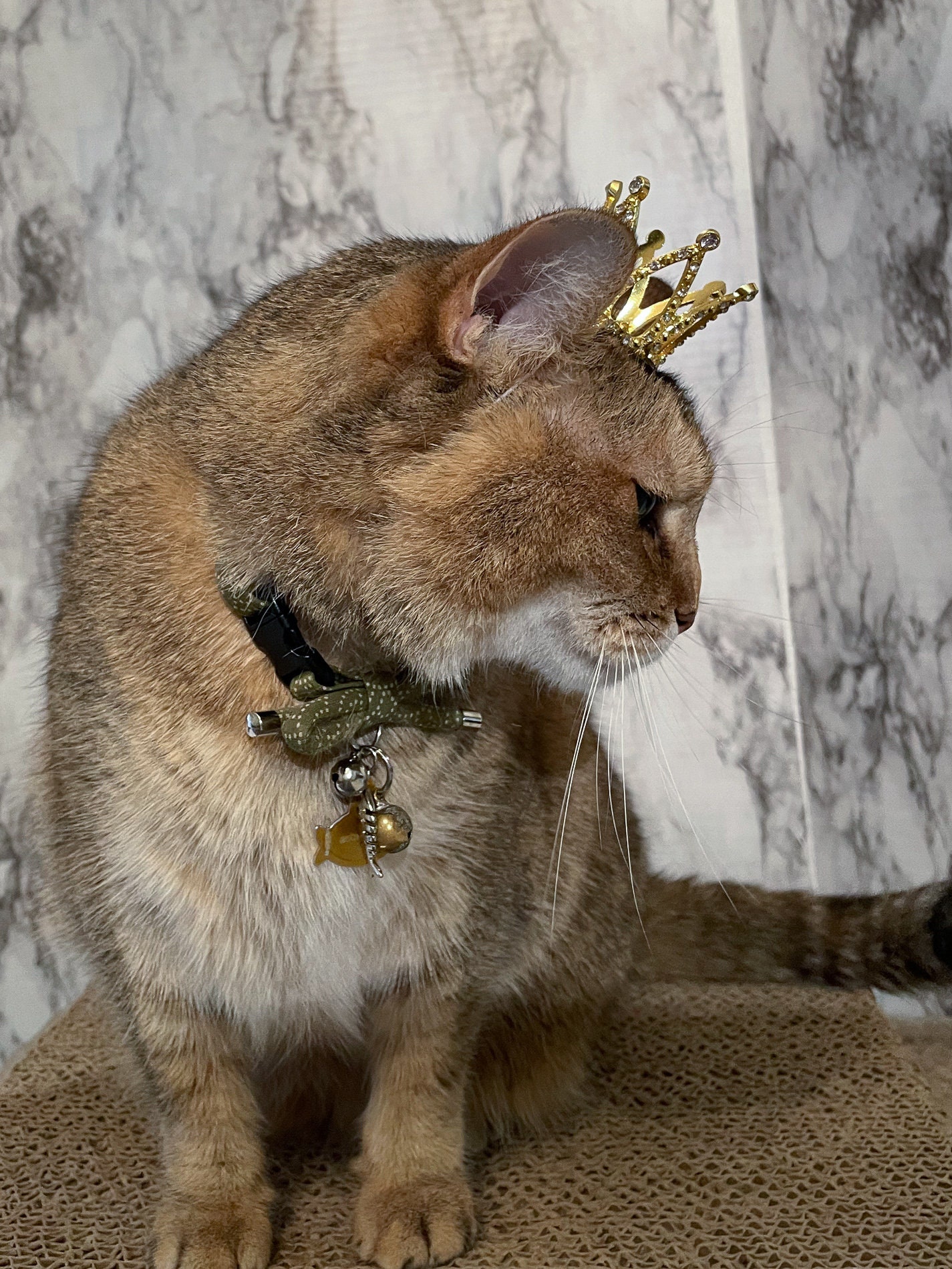 Mini Gold Metal Cat Crown Cat King or Queen Crown for Cat | Etsy