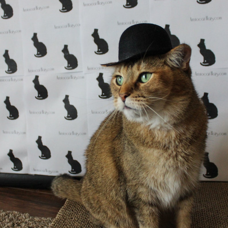Bowler Cat Hat for Your Cat - Medium - Etsy Hong Kong
