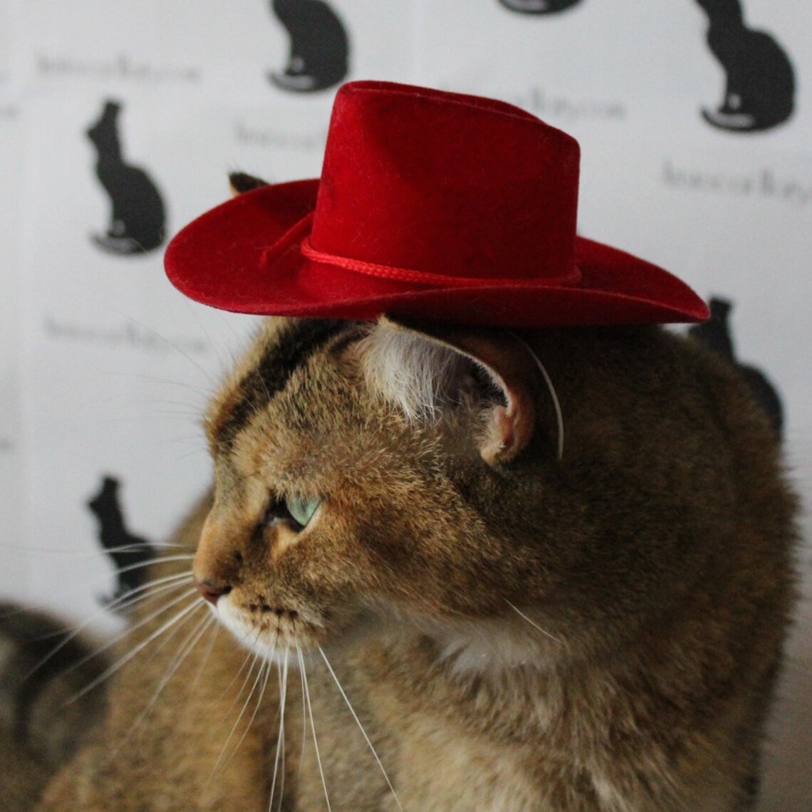 Red Cowboy Cat Hat for Your Cat - Etsy