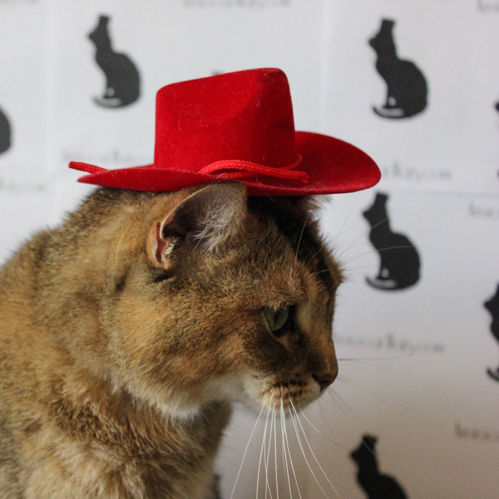 Red Cowboy Cat Hat for Your Cat - Etsy