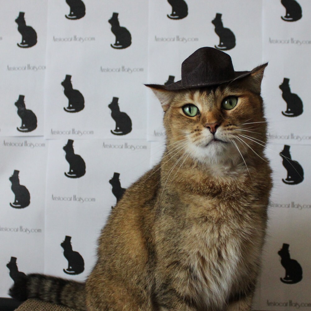 Trooper Cat Hat for Your Cat, Ranger Hat for Your Cat - Etsy