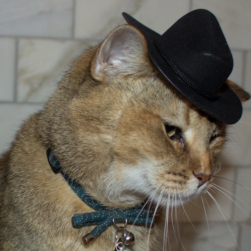 MINI Brown Cowboy Cat Hat FREE SHIPPING - Etsy