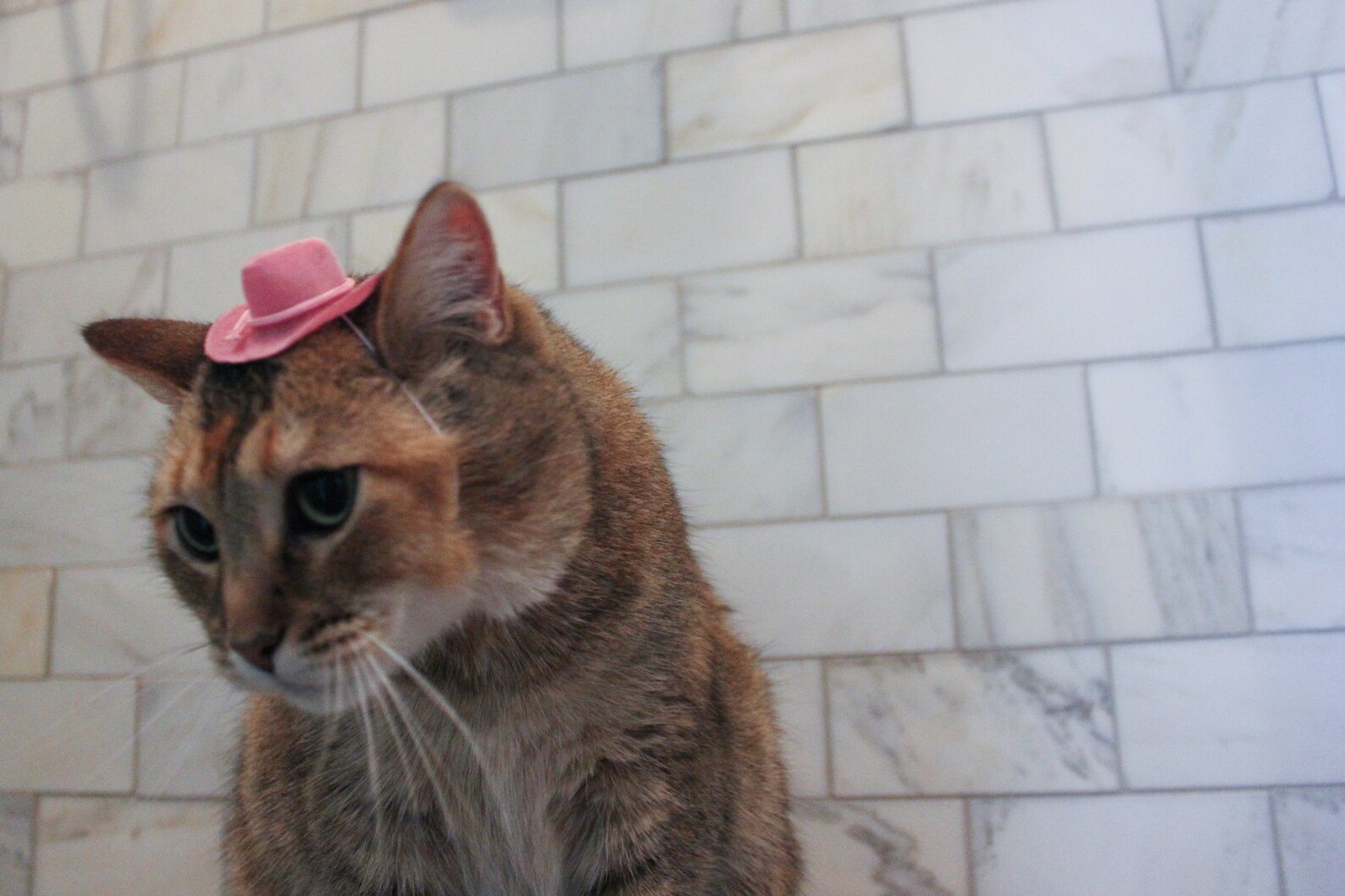 MINI Pink Cowboy Cat Hat FREE SHIPPING - Etsy