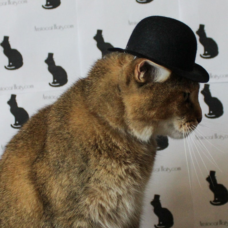 Bowler Cat Hat for Your Cat - Medium - Etsy