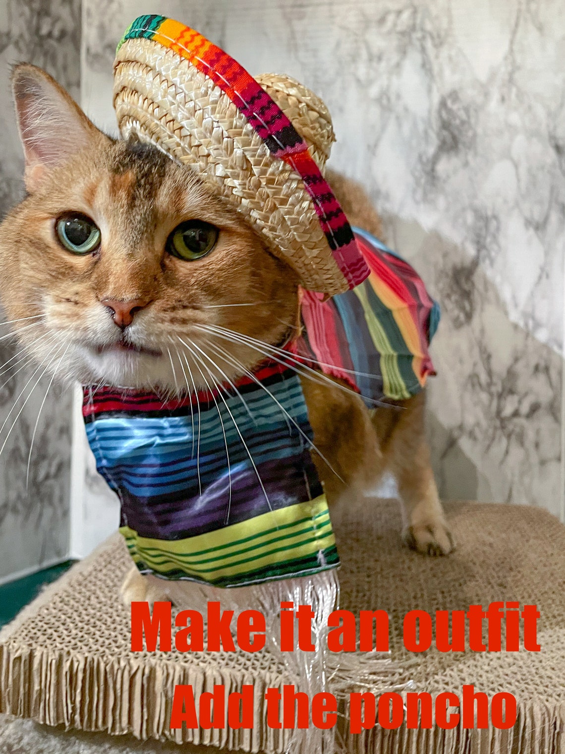 Cat Sombrero Mexican Cat Hat Dog Hat FREE SHIPPING - Etsy