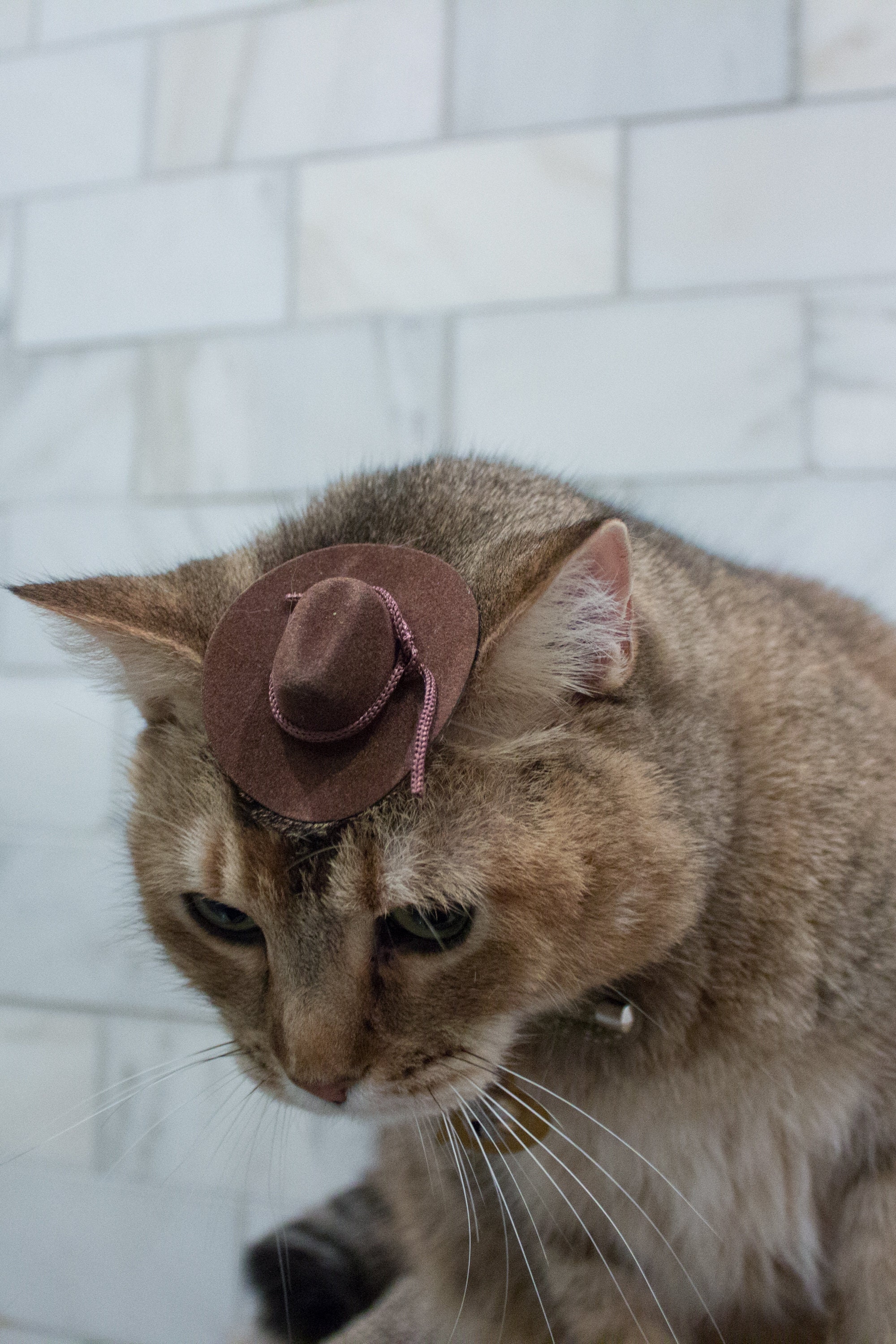 MINI Brown Cowboy Cat Hat FREE SHIPPING - Etsy