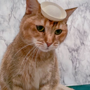 Sailor Cap for Your Cat - Sailor Cat for Your Pet or Dog - Etsy