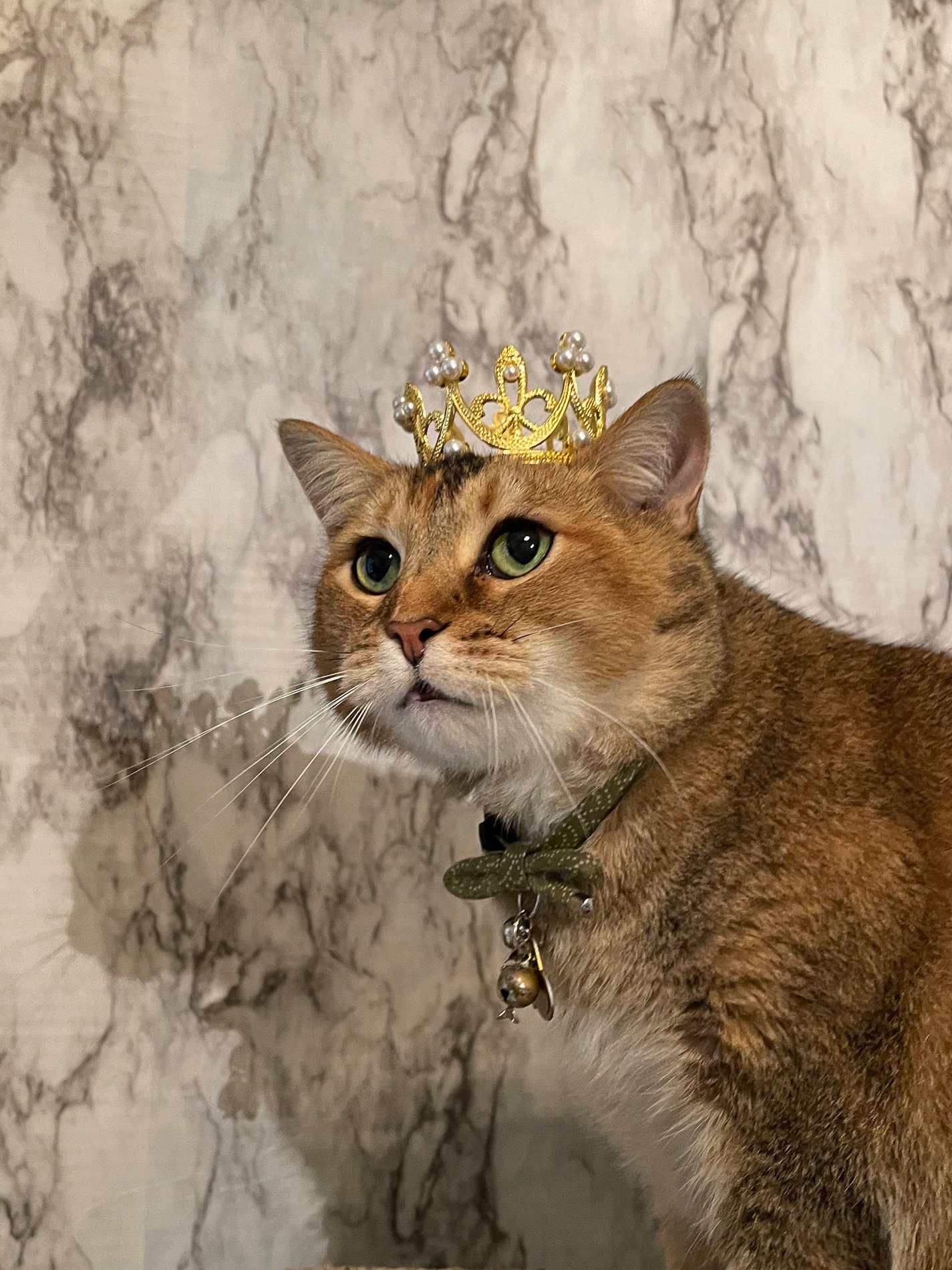 Pearled Cat Crown Cat King or Queen Crown for Cat Crown - Etsy