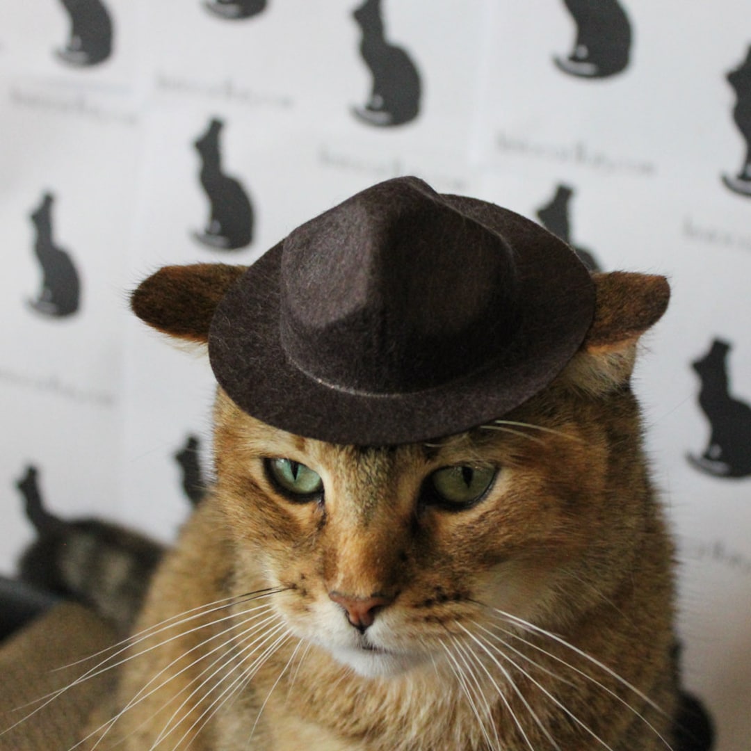 Trooper Cat Hat for Your Cat, Ranger Hat for Your Cat - Etsy