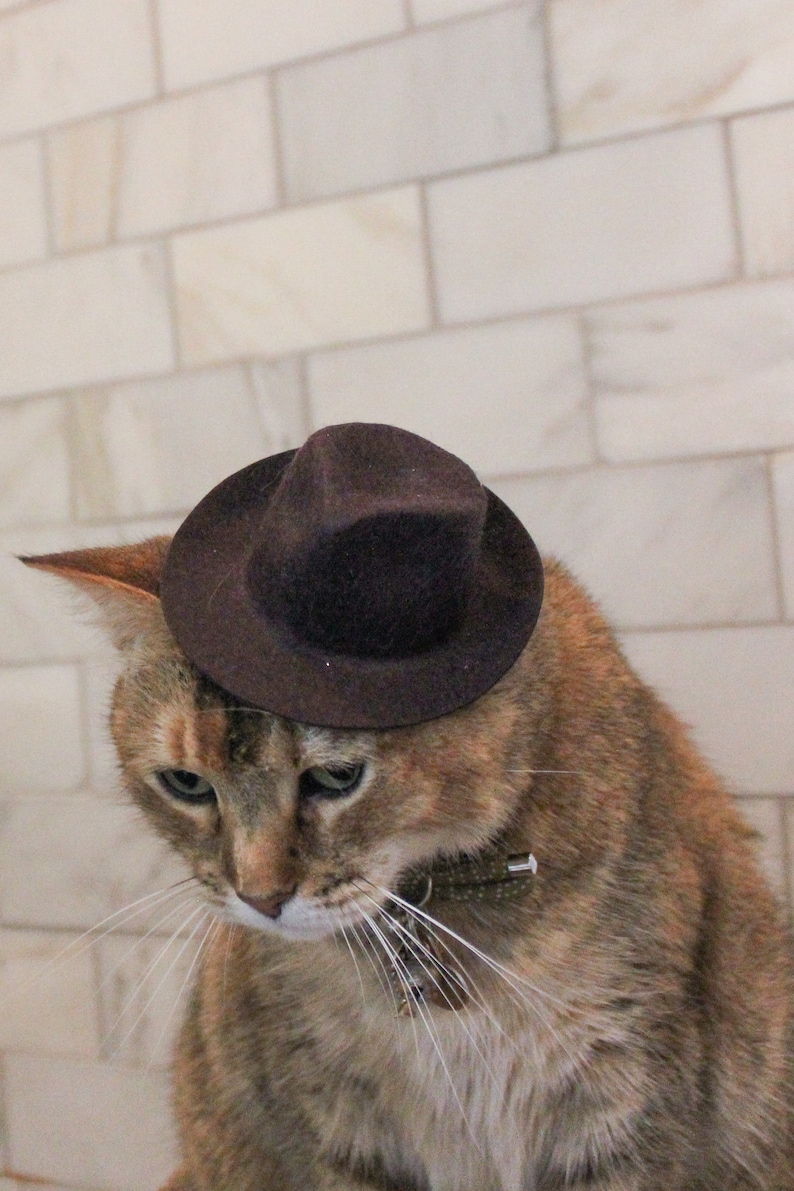 Indiana Jones Fedora for Your Cat Indiana Jones Hat for Dog - Etsy