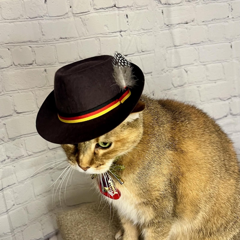Costume for Cat - Etsy