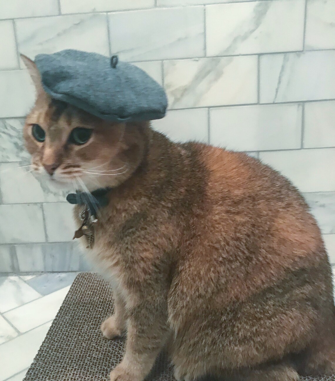 Gray Beret Hat for Your Cat FREE SHIPPING - Etsy