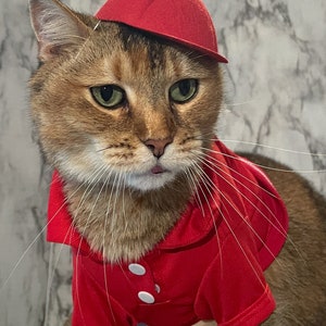Mid Size Red Baseball Cat Hat Baseball Cap Backwards Hat Fred Durst ...