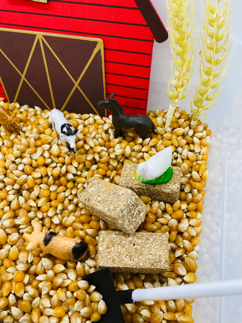 Farm Sensory Bin Farm Animals Barnyard Animals Farming | Etsy