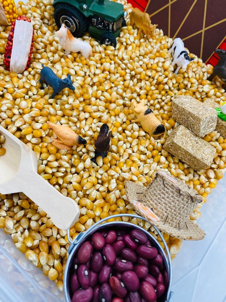Farm Sensory Bin Farm Animals Barnyard Animals Farming | Etsy