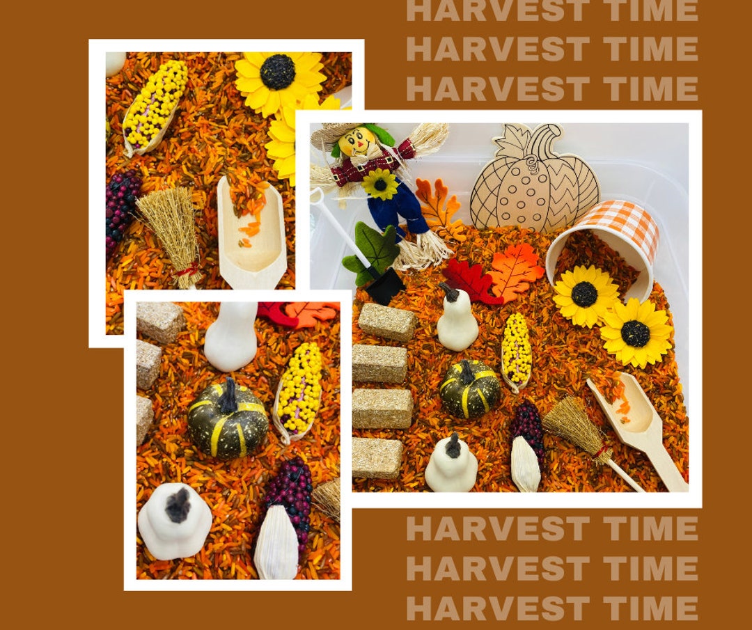 Fall Harvest Sensory Bin Farm Harvest Sensory Bin Autumn - Etsy