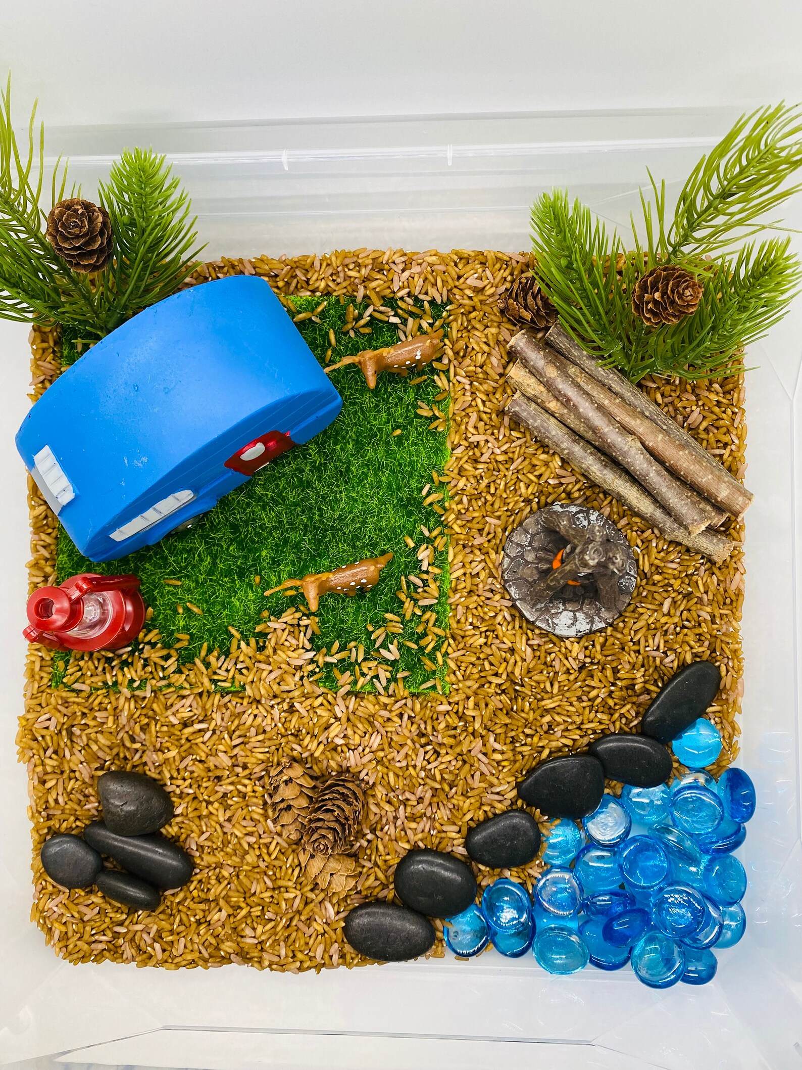 Camping Sensory Bin Nature Sensory Bin Forest Exploration Sensory ...