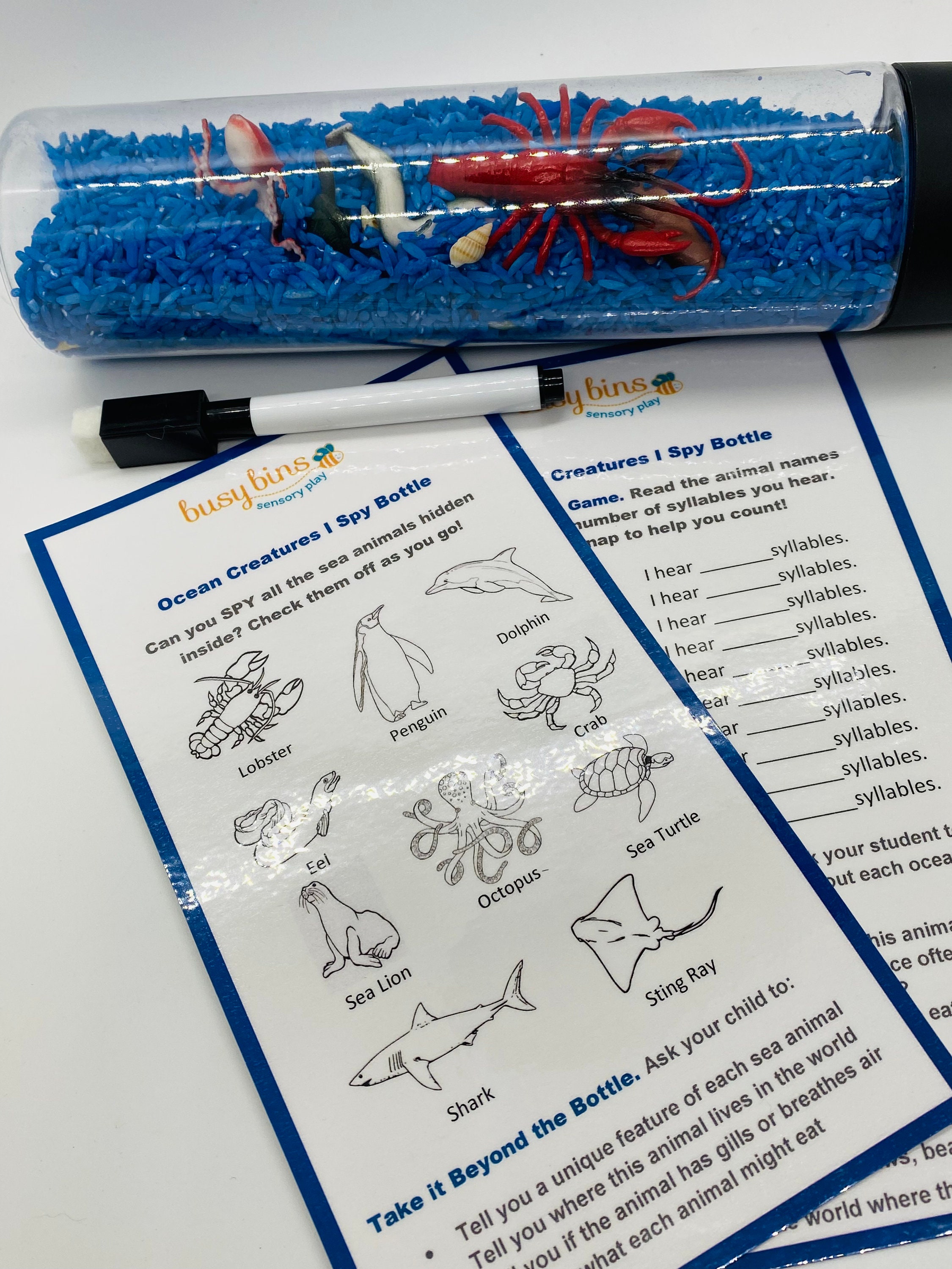 Ocean Animals I Spy Bottle Sea Life Animals I Spy Ocean Toy Under the ...